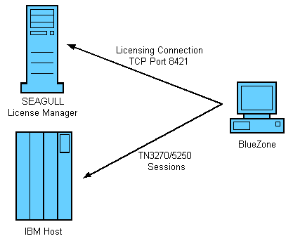 How SEAGULL License Manager Works