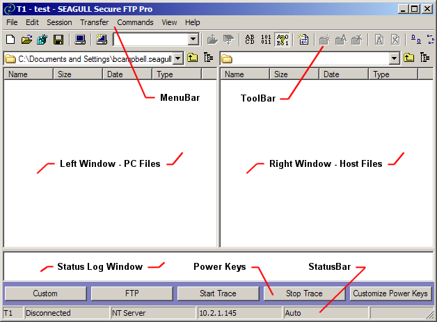 Physical Description